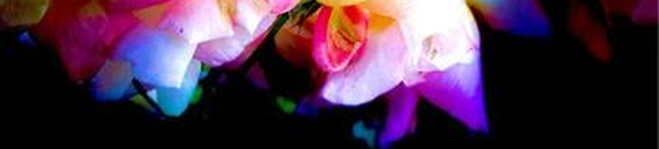 the Belladonna Treatment on Groover