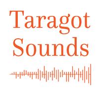 Taragot Sounds mentor sobre Groover